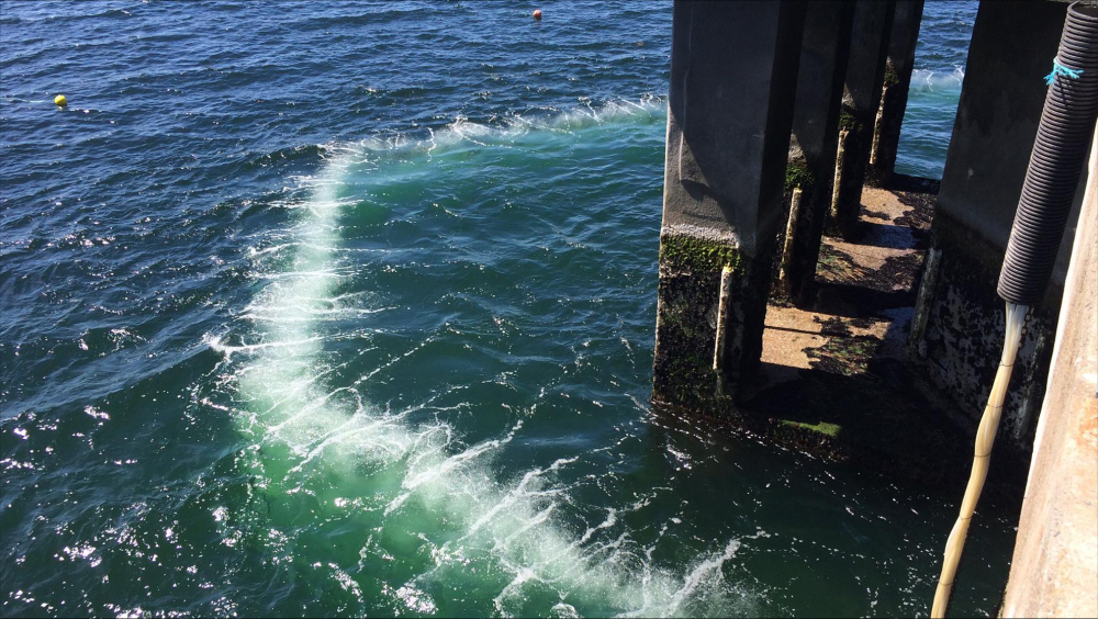 BubbleFlow CFD - Bubble Tubing